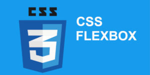 CSS Flexbox interview and Question – Crack Interview